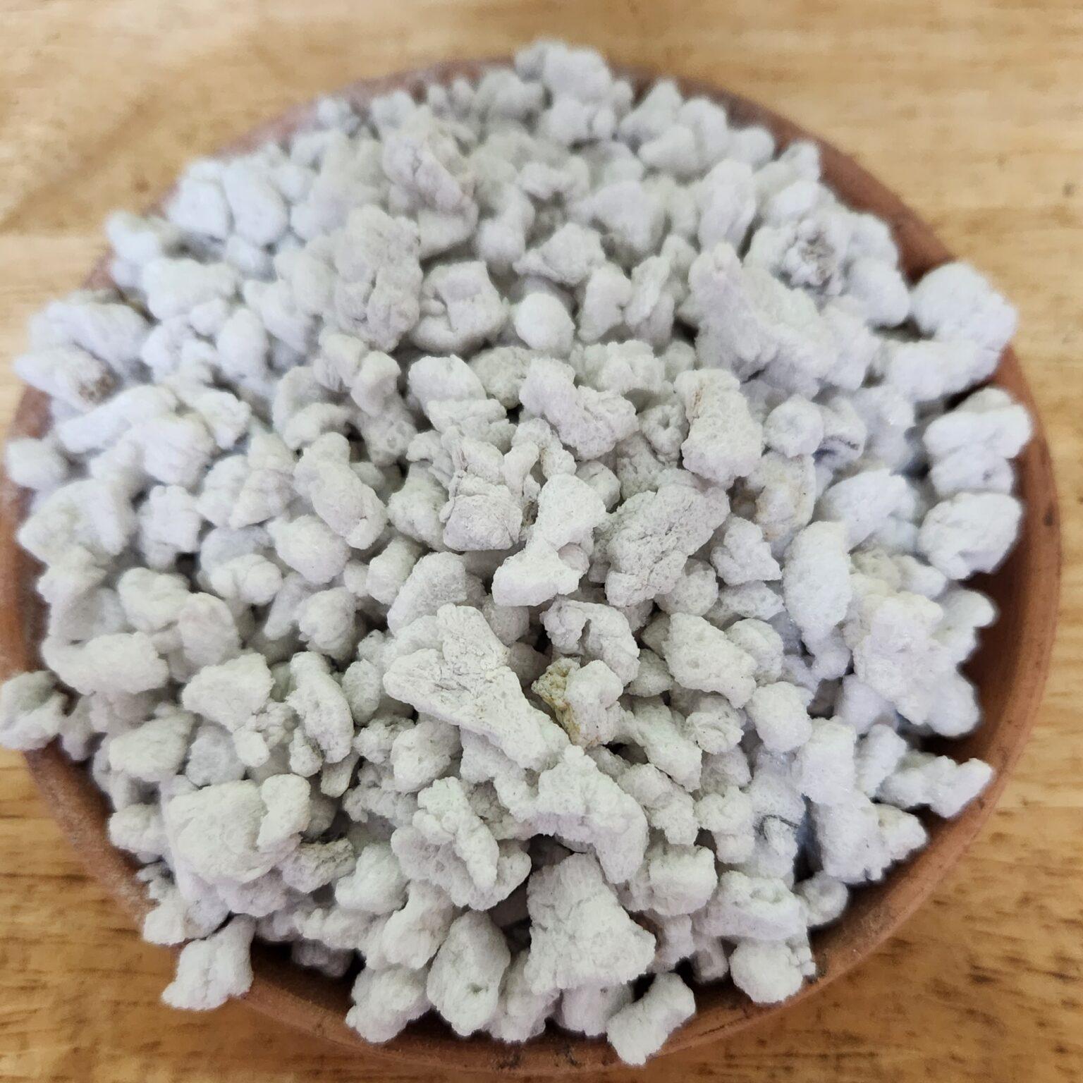 Sponge rock / Perlite coarse - 24 cup bag - Green Barn Orchid and Aroid ...