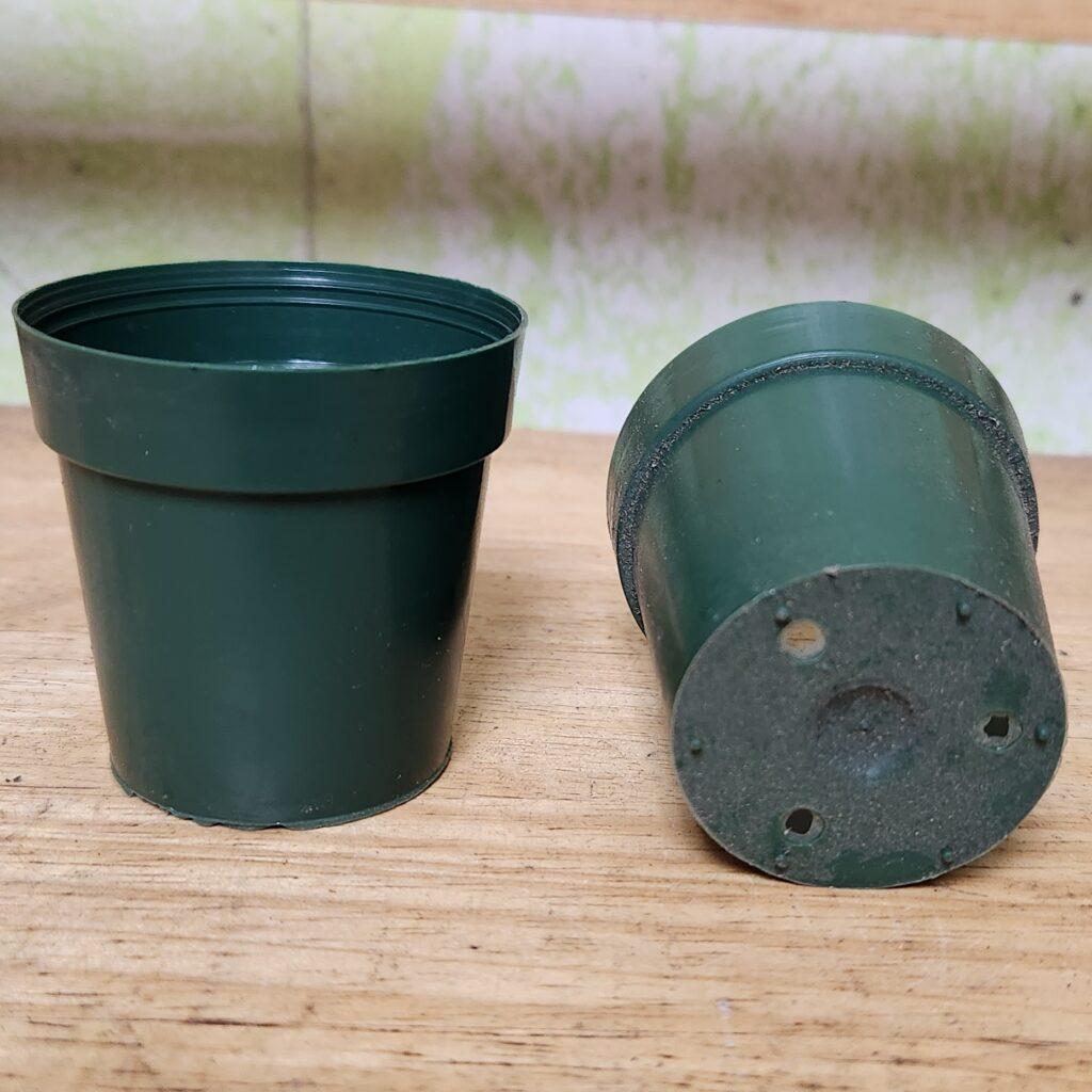 Green Plastic Pot 2" x 2" high