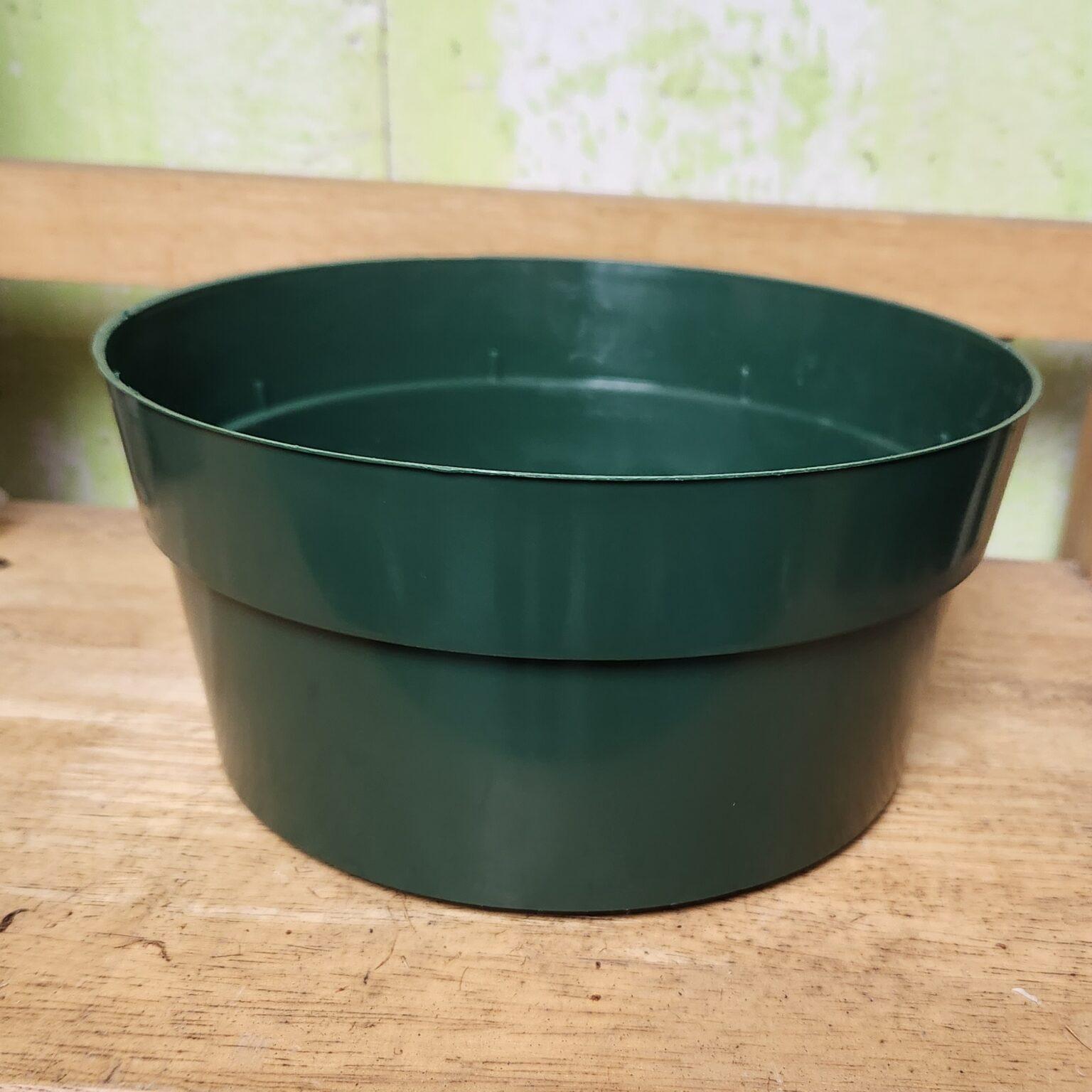 Green plastic shallow pot 8" x 4" high - Green Barn Orchid and Aroid ...