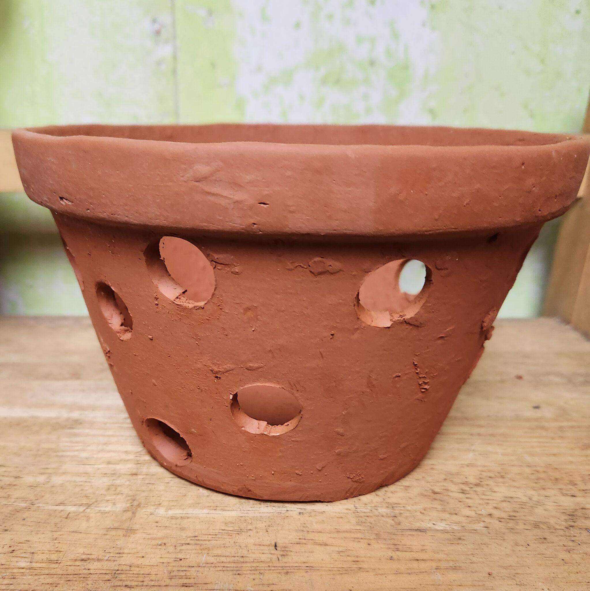 Rustic Clay Pot 7"