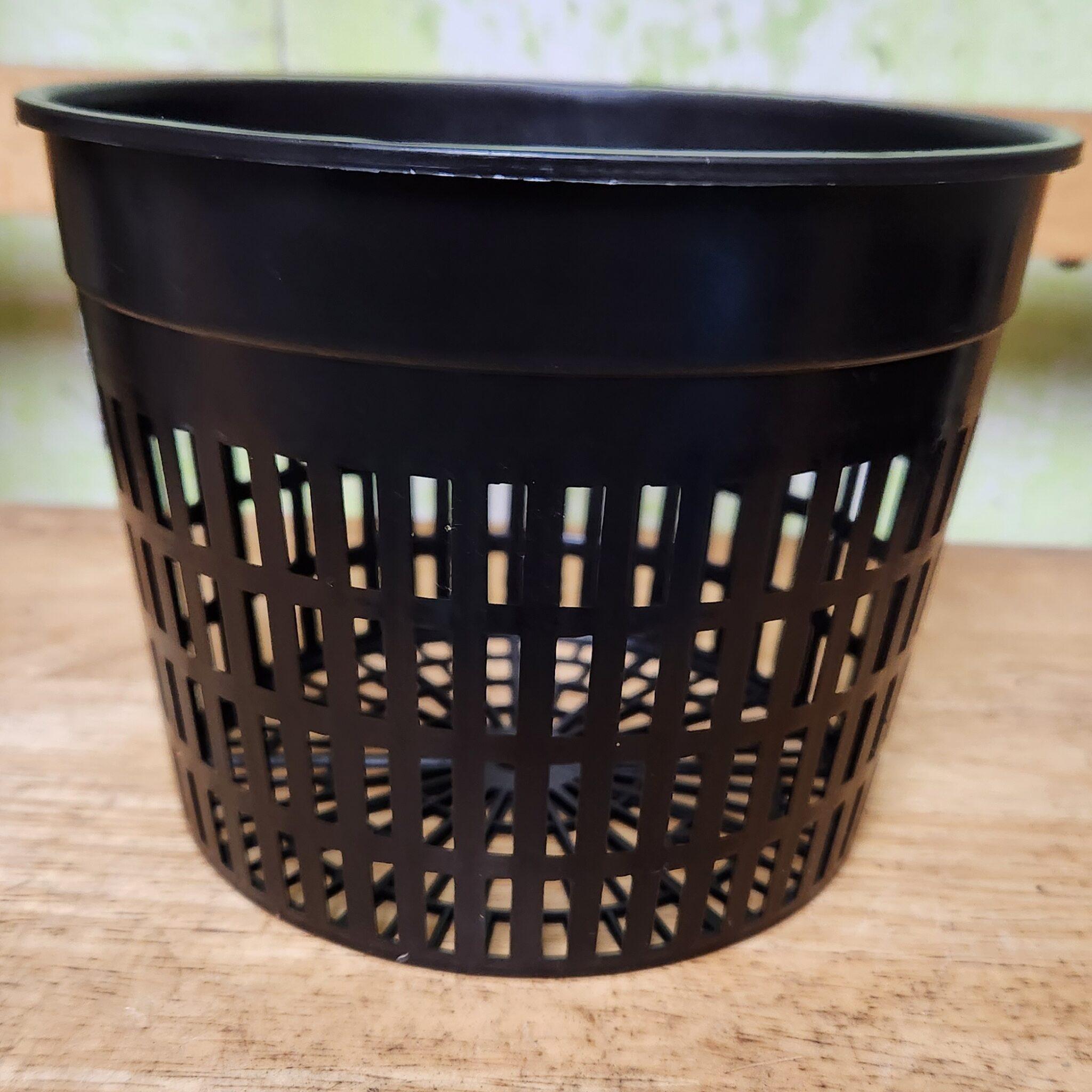 Plastic net pot 6" - Green Barn Orchid and Aroid Supplies