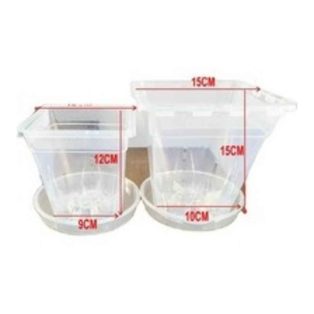 Clear Square Plastic Pot 5" x 5" high